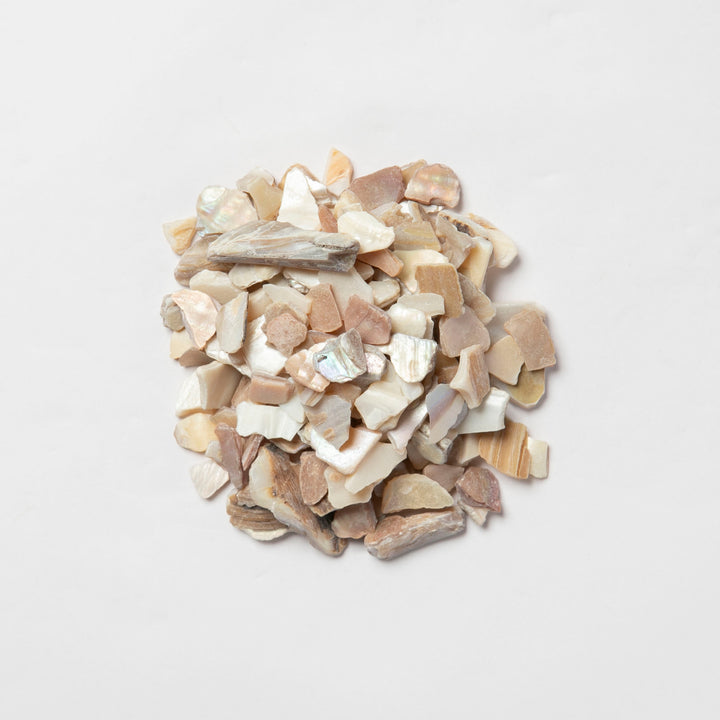 Shell Chips（Mother of perl) Perl（真珠貝）9-12㎜ – 株式会社シオキ